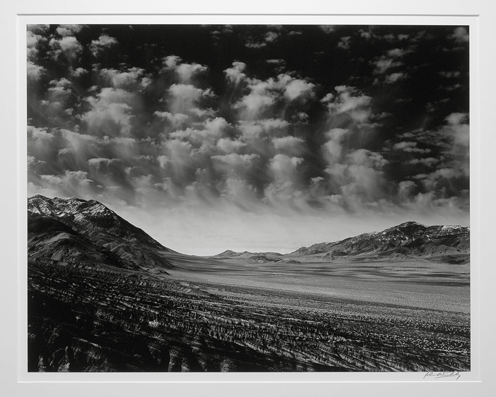 New Arrivals – Russell Levin Photography & Gallery