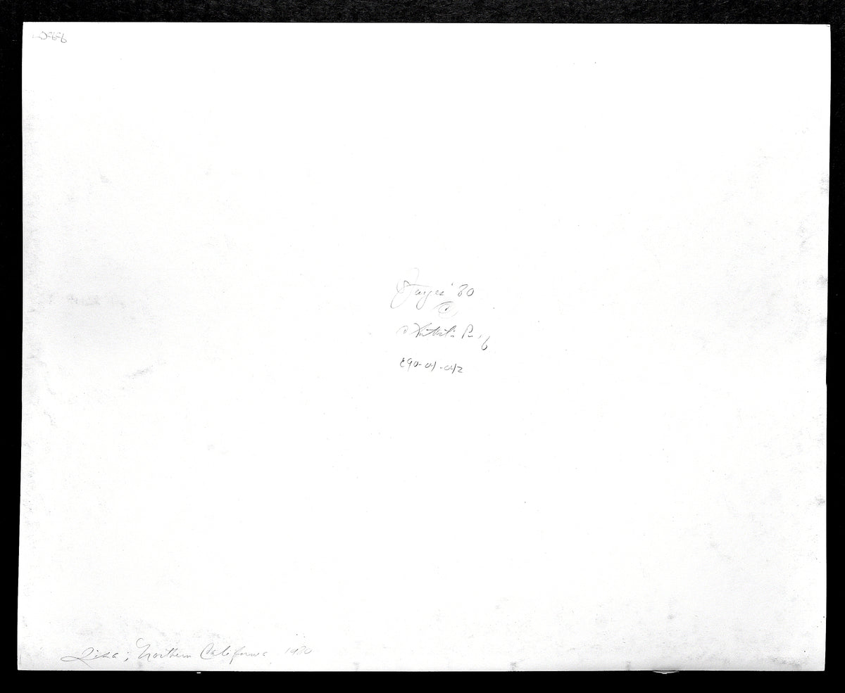 Jock Sturges 1980 Lisa, Northern California 16x20 – Russell Levin ...