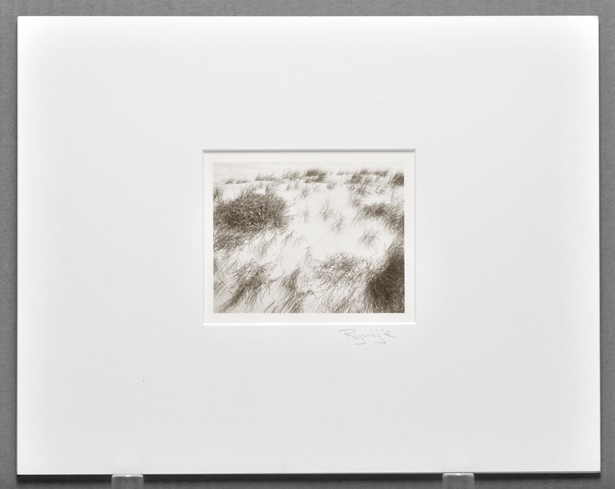 Ryuijie - Grasses, Oceano, 2005 – Russell Levin Photography & Gallery