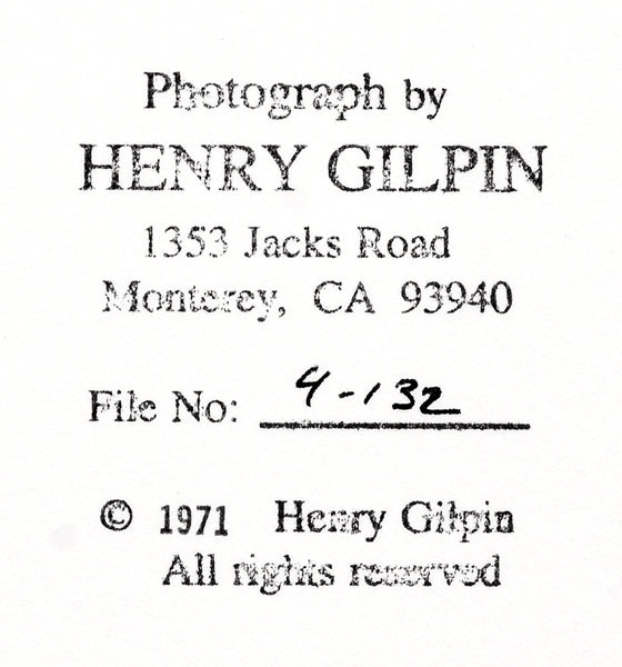 Henry Gilpin - Bristlecone Pine - Very Adams Like – Russell Levin ...