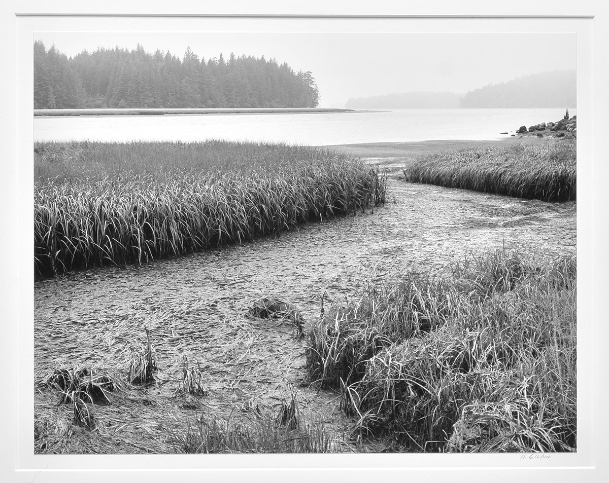 Henry Gilpin - Marsh and Grasses – Russell Levin Photography & Gallery