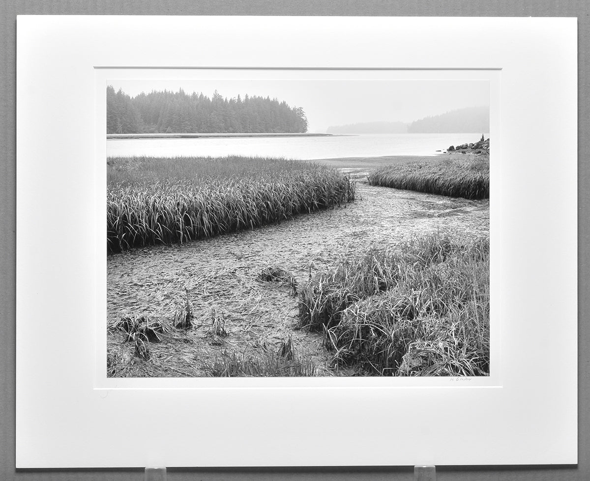 Henry Gilpin - Marsh and Grasses – Russell Levin Photography & Gallery