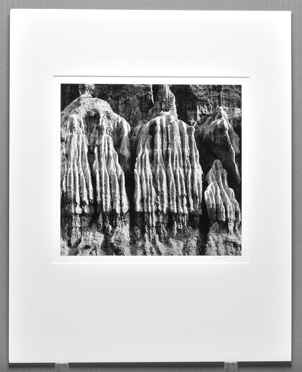 New Arrivals – Russell Levin Photography & Gallery