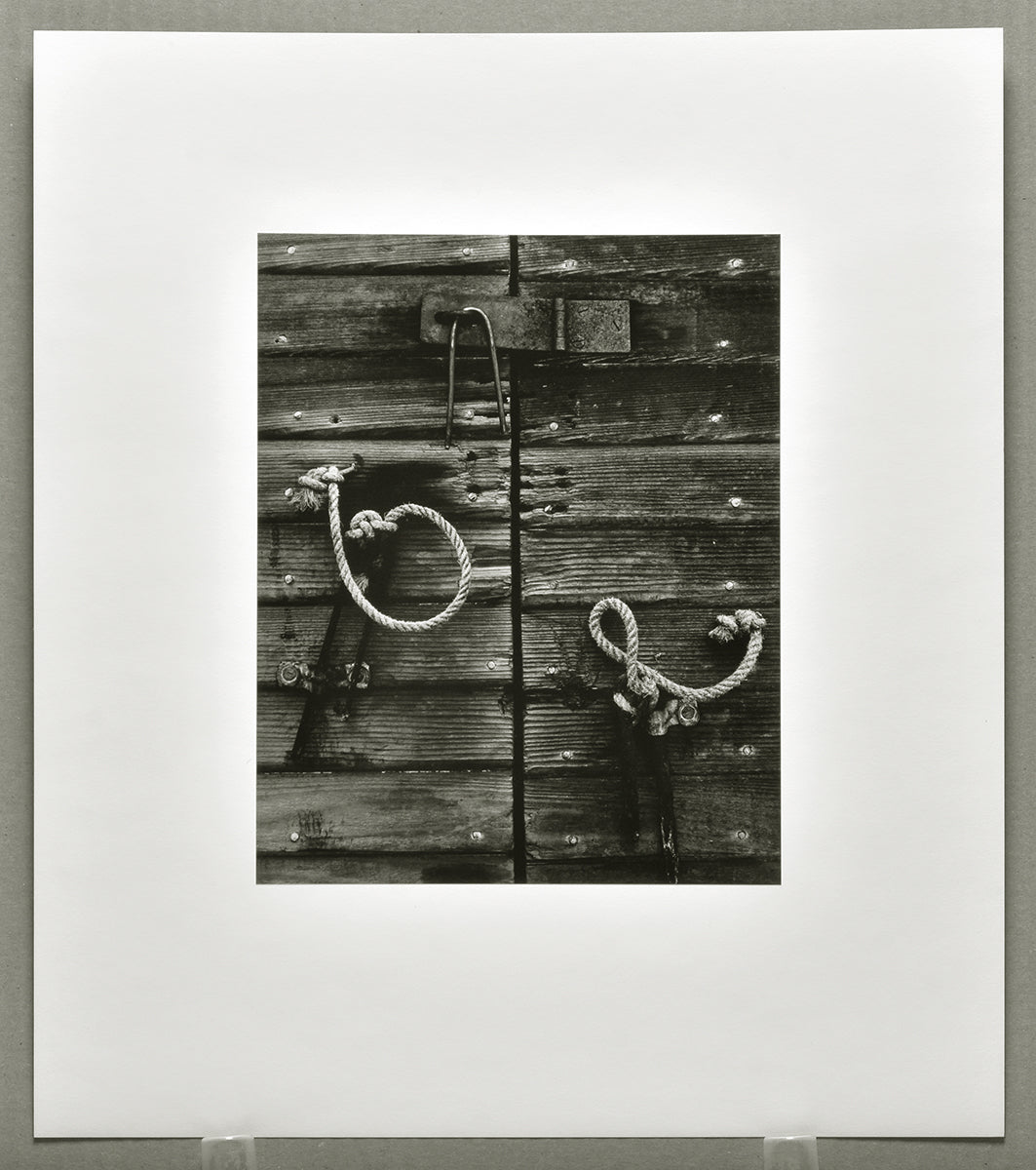 New Arrivals – Russell Levin Photography & Gallery