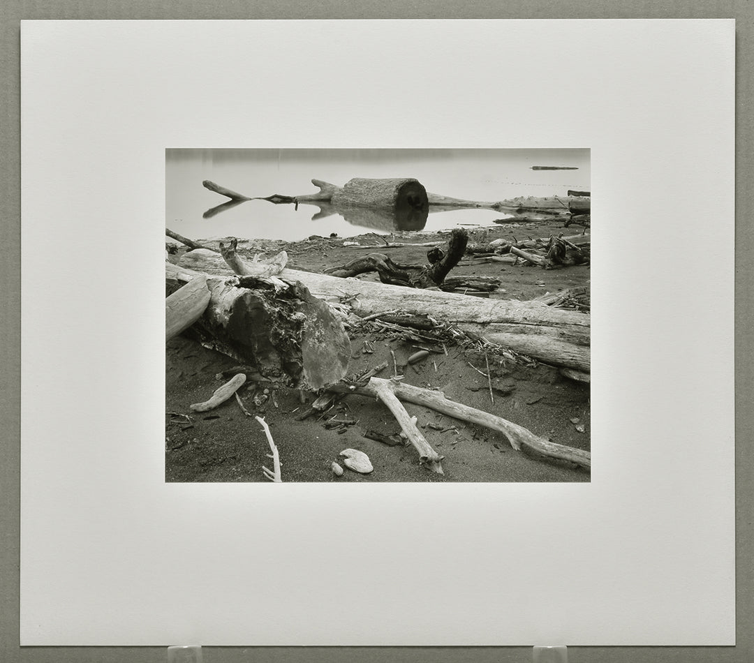 New Arrivals – Russell Levin Photography & Gallery