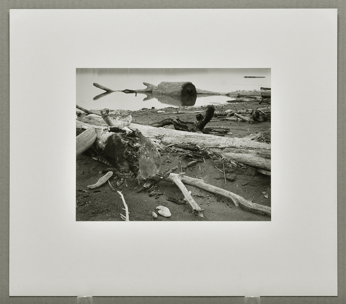 New Arrivals – Russell Levin Photography & Gallery