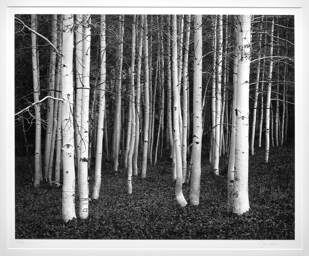 New Arrivals – Russell Levin Photography & Gallery