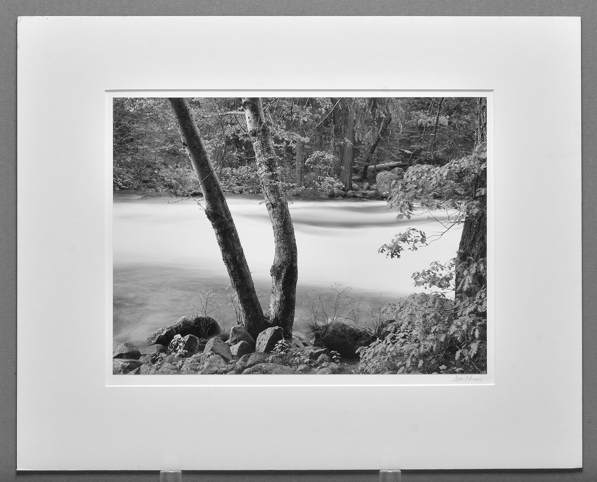 Trees and River, Evening, Yosemite, Ca 10"x13" Photograph – Russell ...