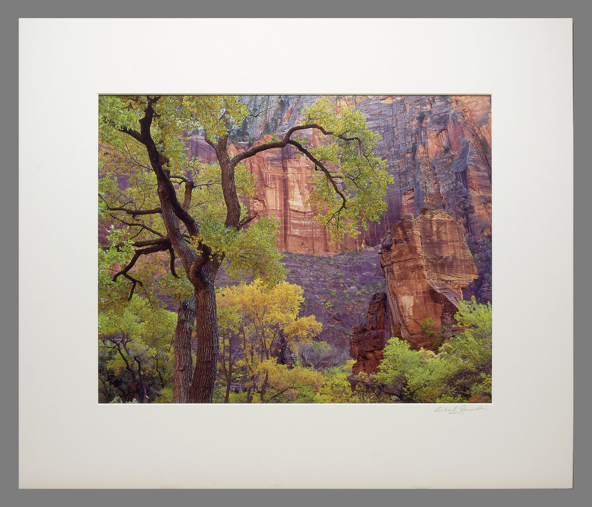 Richard Garrod - Temple of Sinawava, Zion National Park – Russell Levin ...