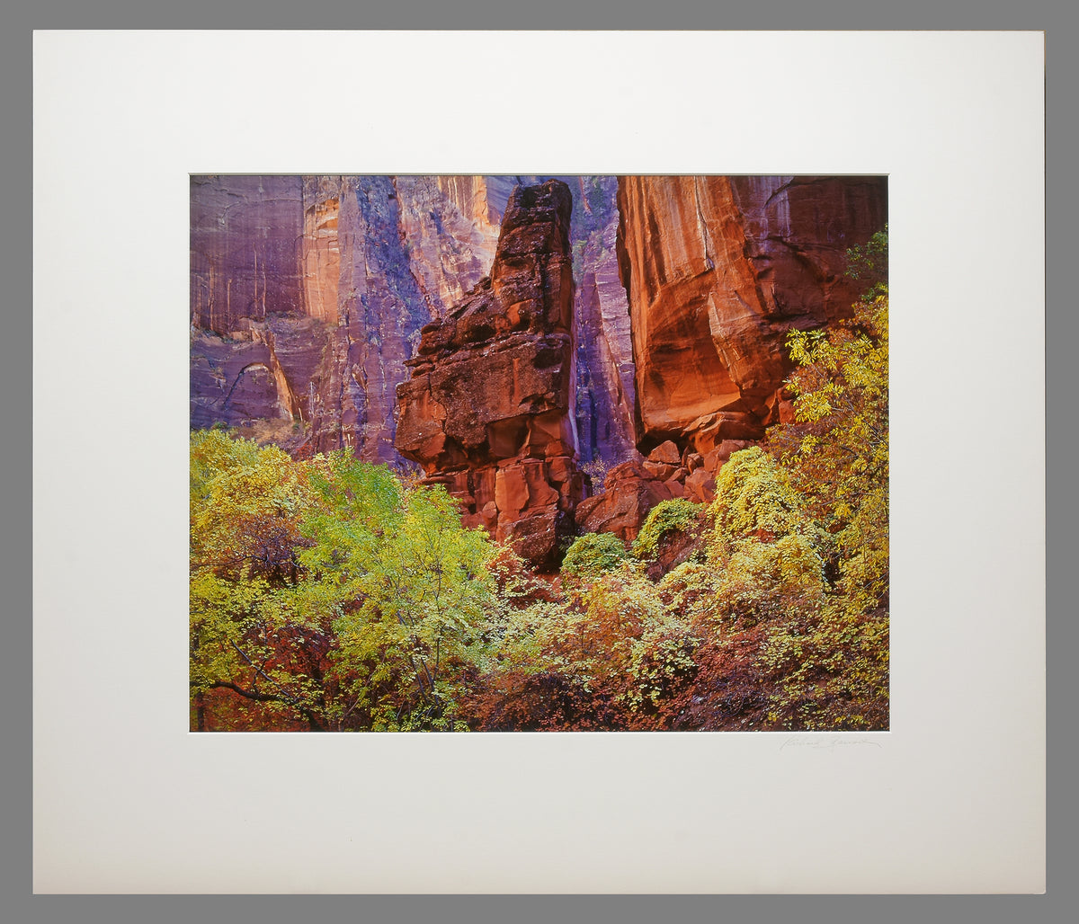 Richard Garrod - Zion National Park – Russell Levin Photography & Gallery