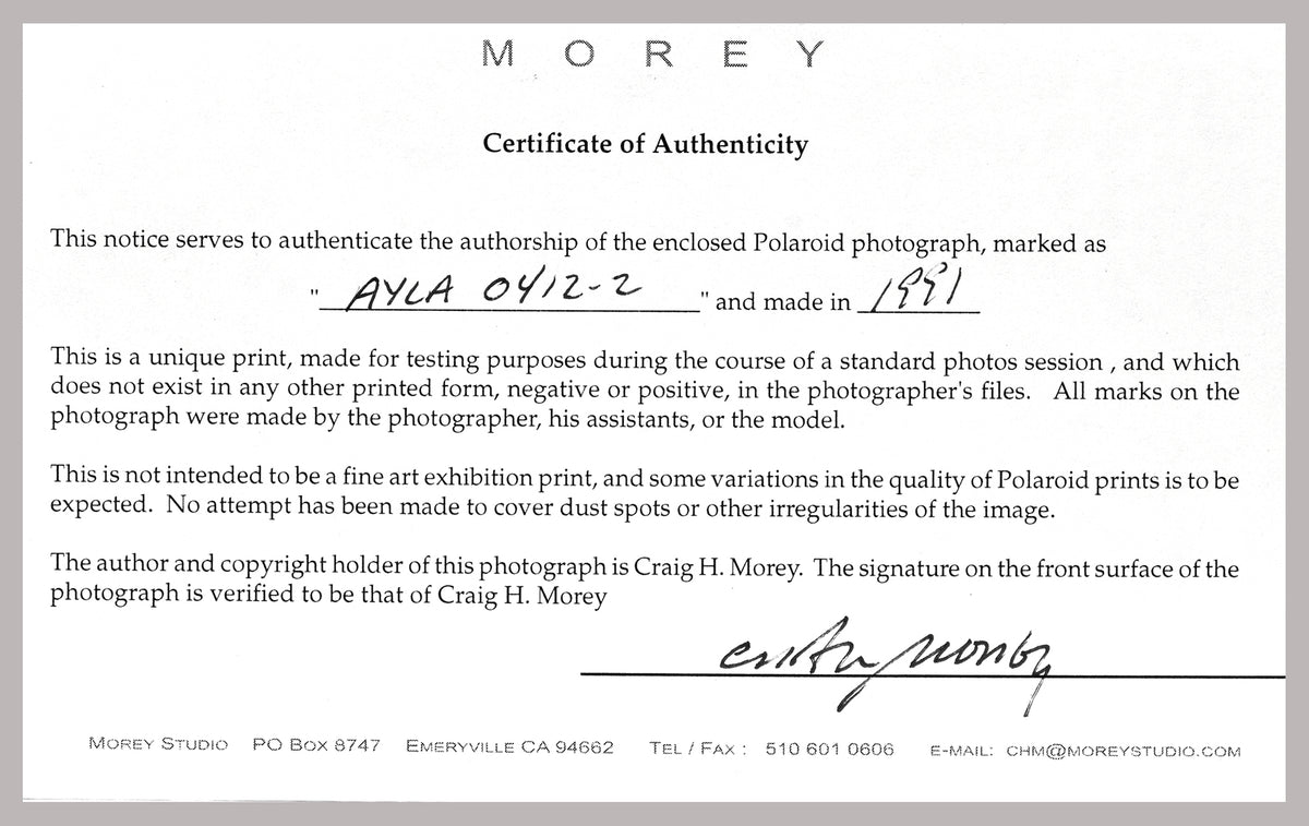 Make Offer - Rare Vintage 1991 One of a Kind Craig Morey Polaroid Test ...