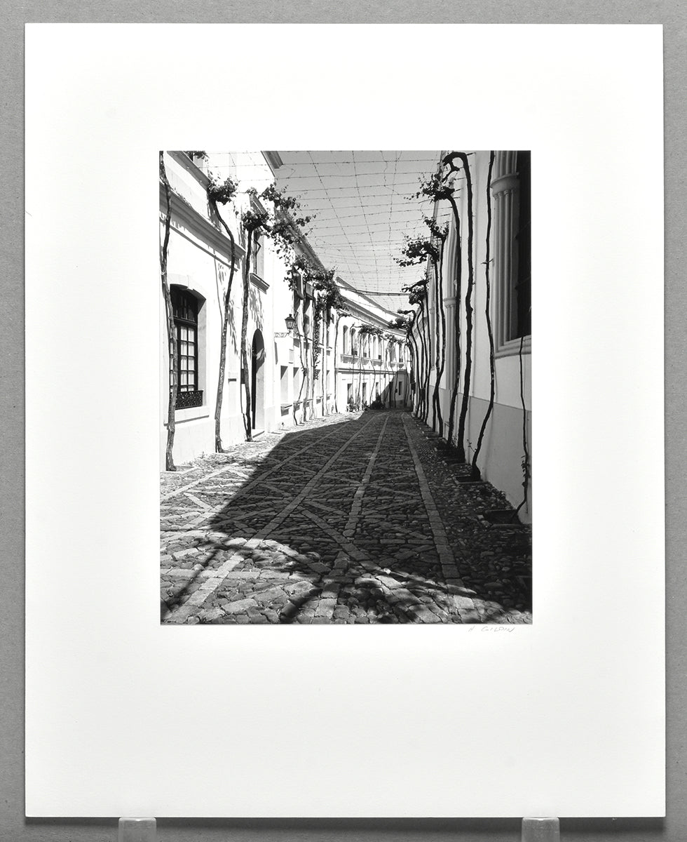 Henry Gilpin - Cobblestone Road & Vines, 1995 – Russell Levin ...