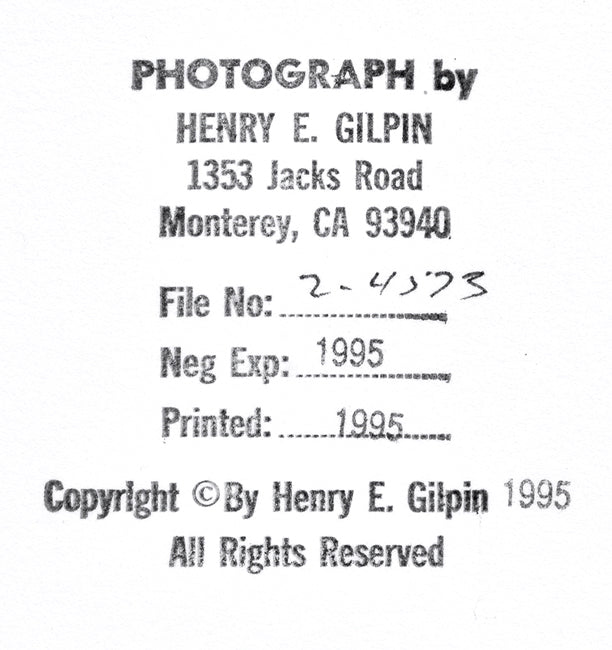 Henry Gilpin - Cobblestone Road & Vines, 1995 – Russell Levin ...